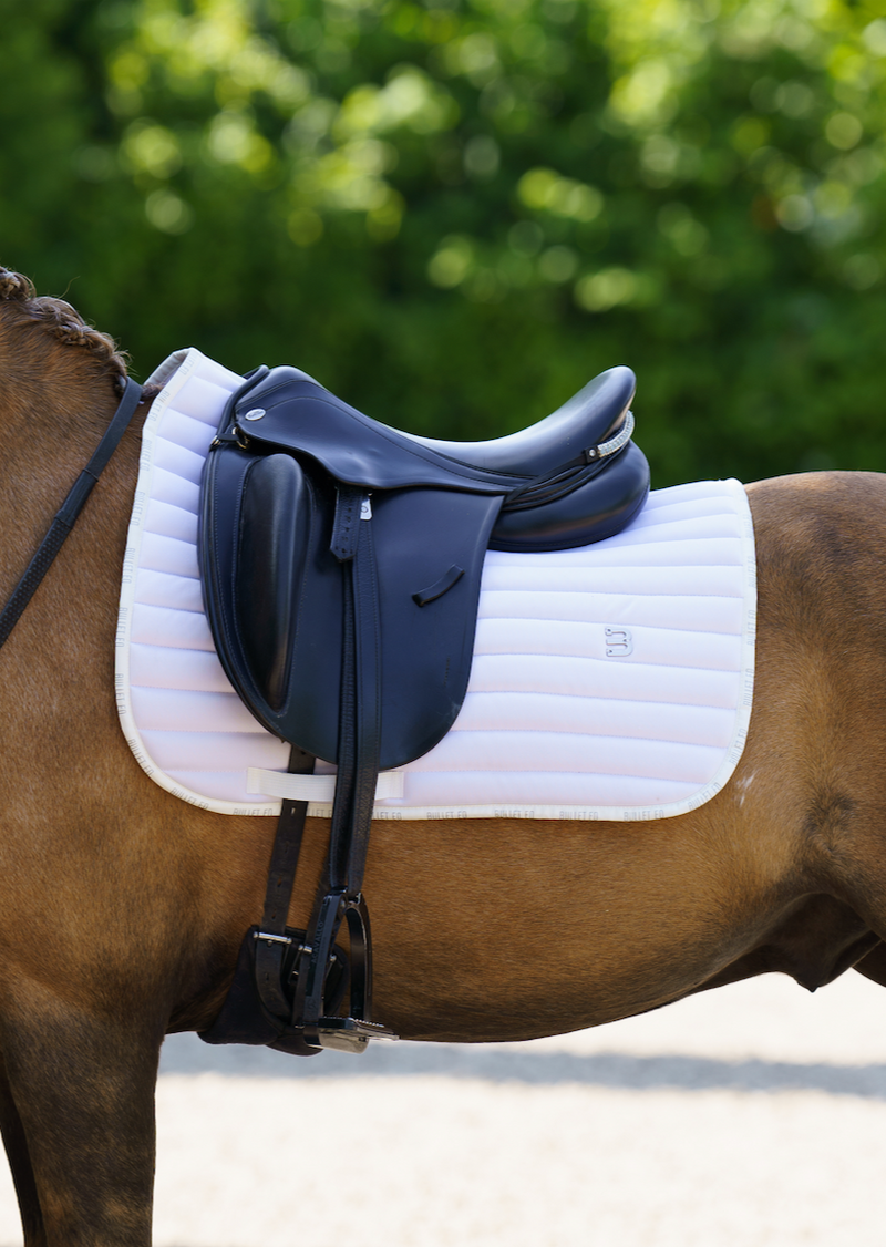 Dressage tack store